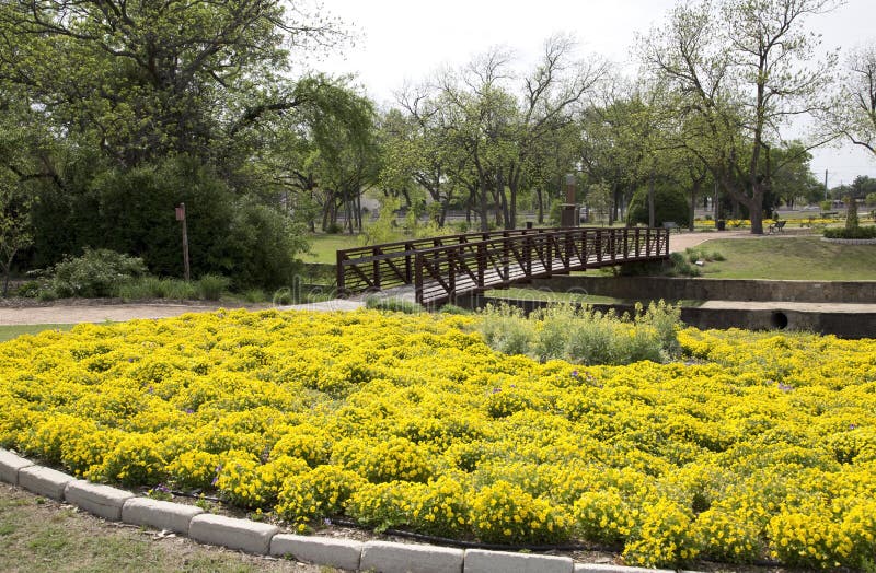 Beautiful Park in Community Stock Image - Image of sidewalk, suburban ...