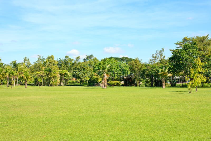 Beautiful park garden stock image. Image of beautiful - 25774917