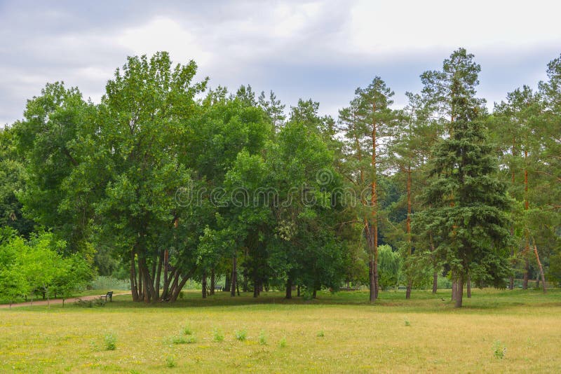 Beautiful park landscape stock photo. Image of foliage - 57742556