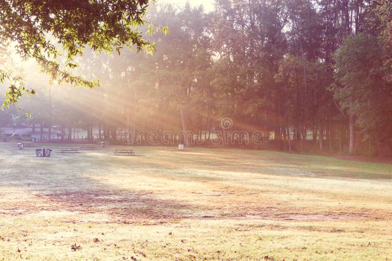 Beautiful Park Morning View Stock Photo - Image of garden, landscape ...