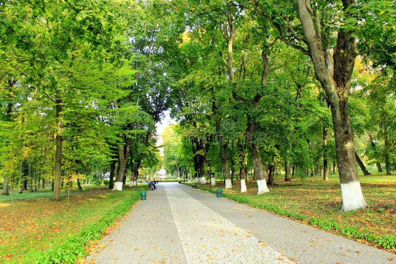 Beautiful Park with Nice Promenade Path and Big Green Trees Stock Image ...