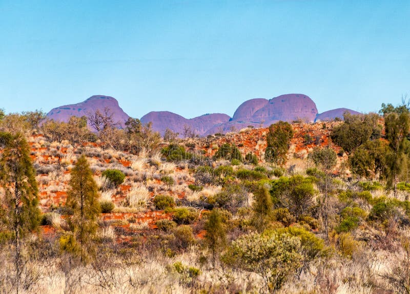 Beautiful Park of Northern Territory, Australian Outback Stock Image ...