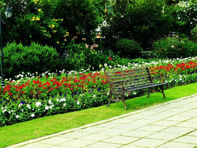 Beautiful Park with Pathway and Benches Stock Image - Image of grass ...
