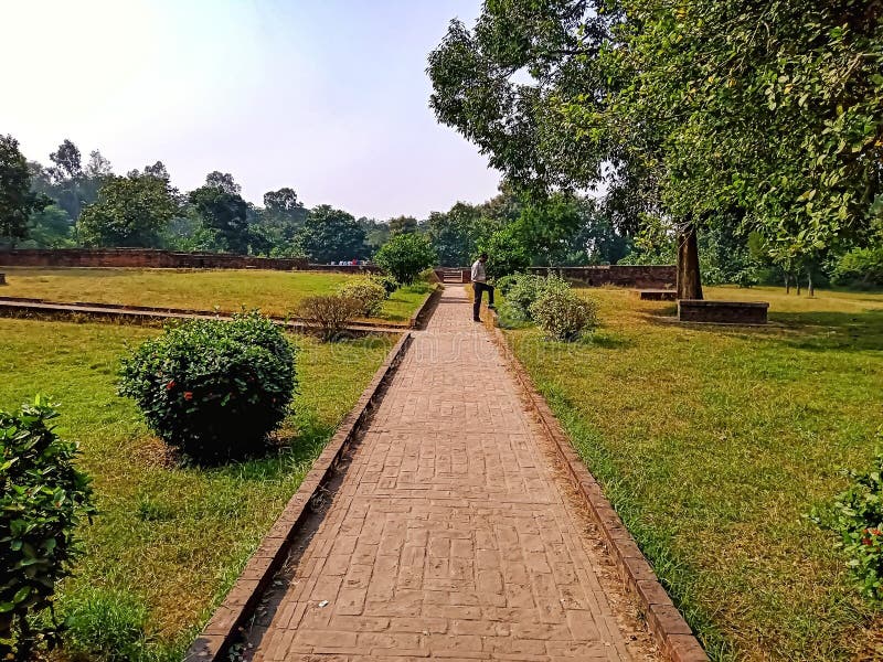 Beautiful Park Pathway Nice Looking Image Editorial Stock Image - Image ...