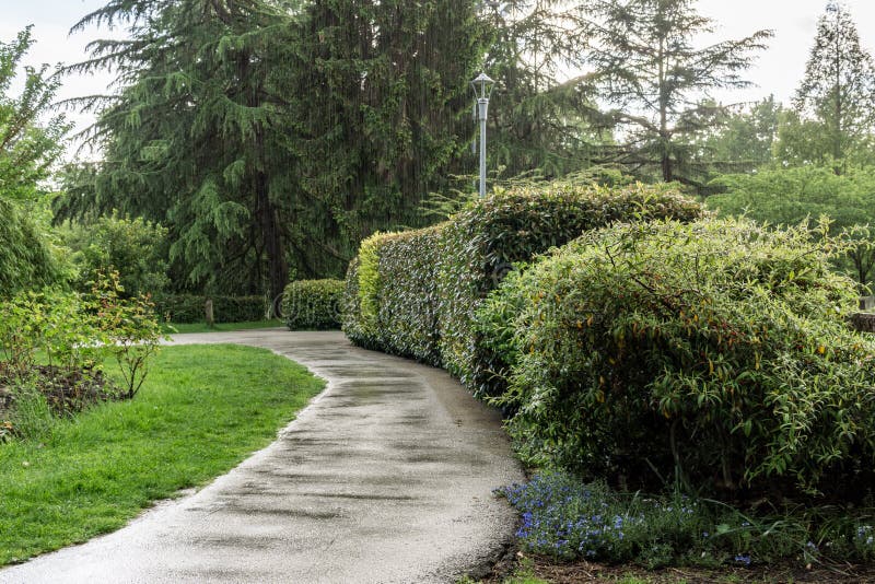 Beautiful Park with Pathway Spring Rainy Day Stock Image - Image of ...