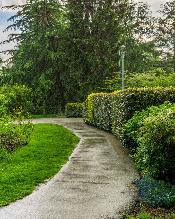 725 Rainy Day Park Pathway Stock Photos - Free & Royalty-Free Stock ...