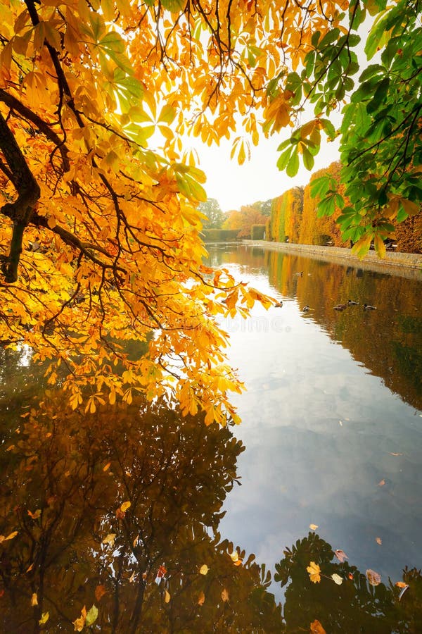 Beautiful Park Pond in Autumn Stock Image - Image of green, fall: 34477127