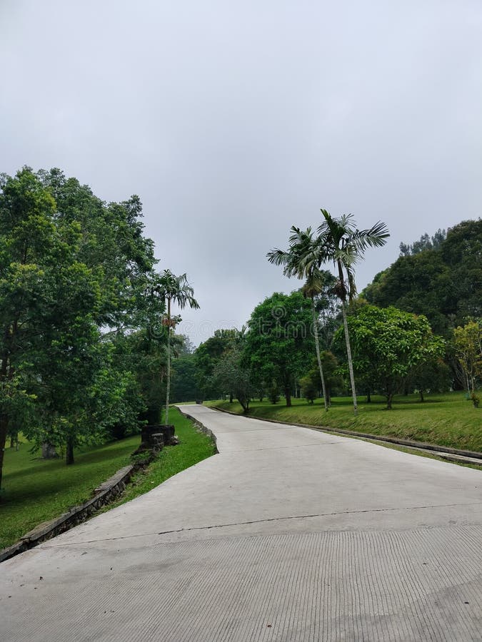 Beautiful Park Puncak Bogor in the Morning Stock Image - Image of ...