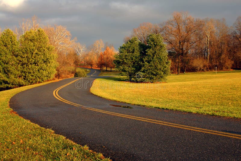 A beautiful park road stock photo. Image of rain, trees - 10065138