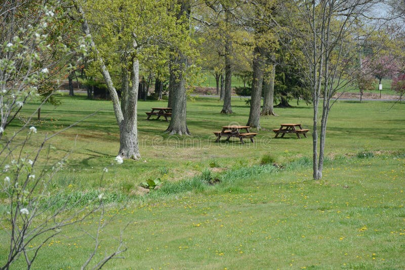 Beautiful park scene stock image. Image of scene, springtime - 71327129