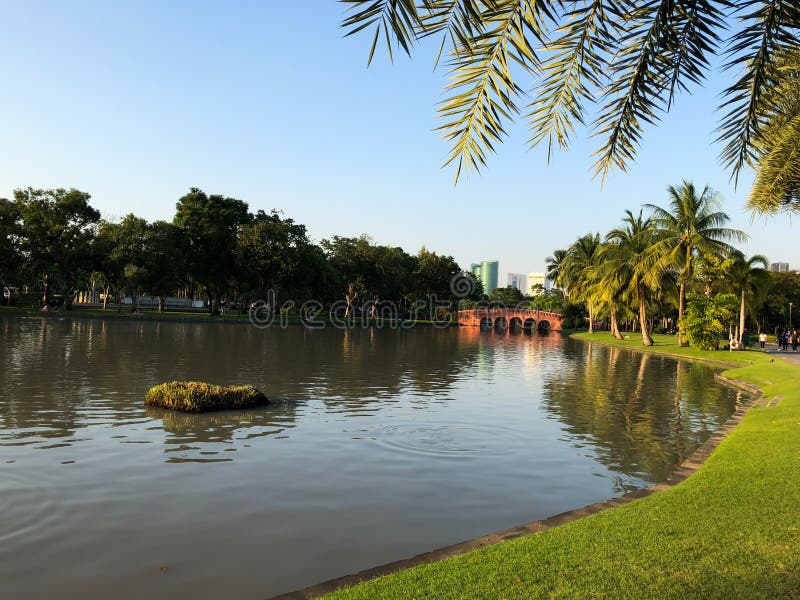 Beautiful Park Scene in Public Park with Green Grass Field.Beautiful ...