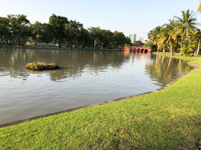 Beautiful Park Scene in Public Park with Green Grass Field.Beautiful ...