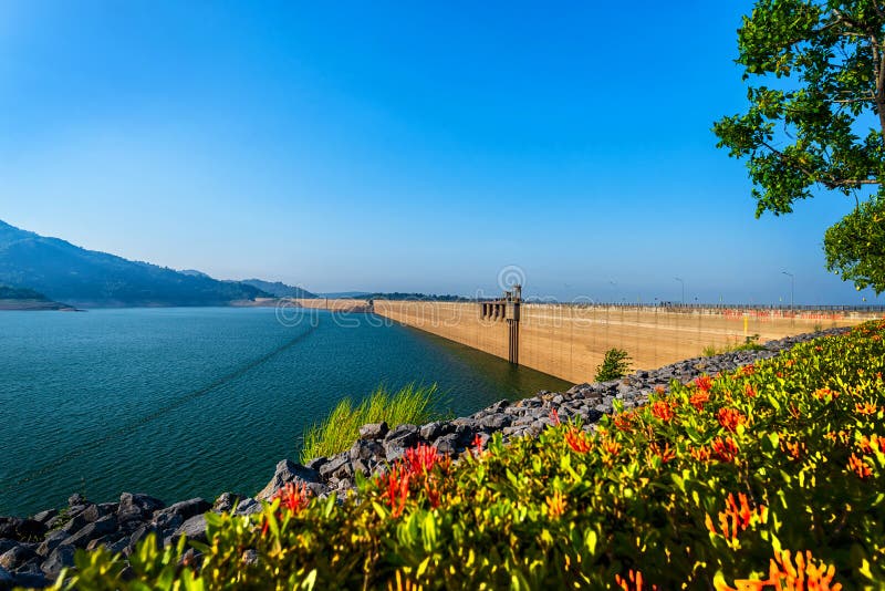 Beautiful Park Scene in Public Park with Green Grass Field, Green Tree ...