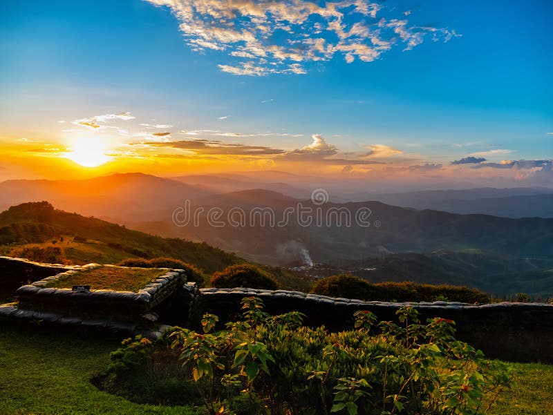 Beautiful Park Scene in Public Park with Green Grass Field, Green Tree ...