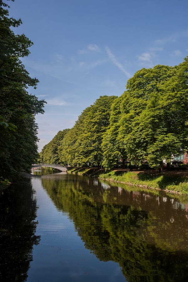 Beautiful Park Scene in Public Park Stock Photo - Image of lawn, nature ...