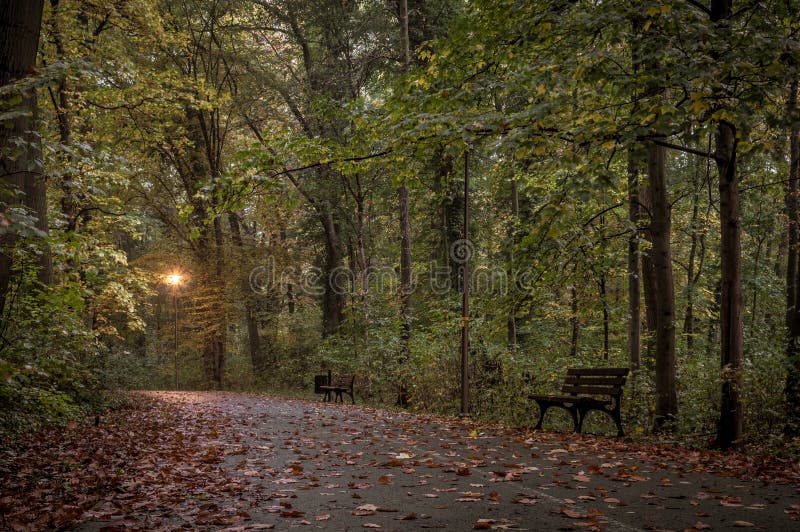 Beautiful Park Scenery in Autumn Stock Photo - Image of landscapes ...