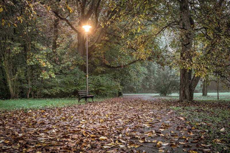 Beautiful Park Scenery in Autumn Stock Photo - Image of fall, outdoor ...