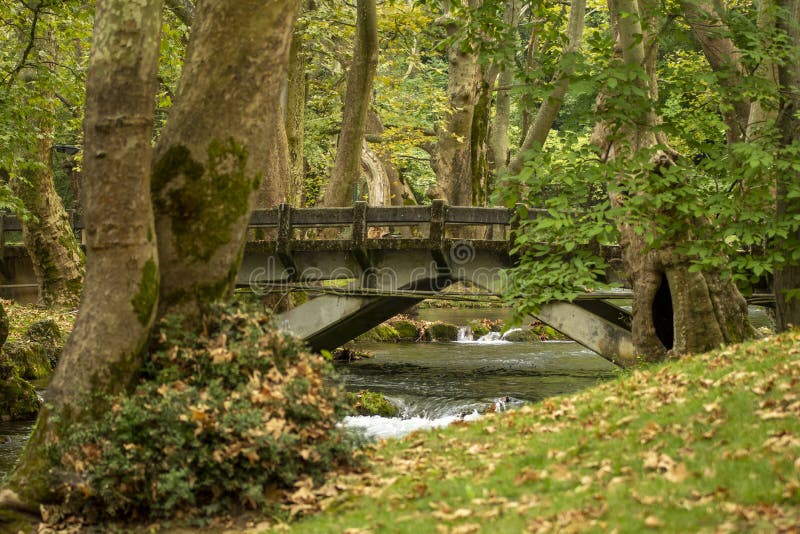 Beautiful Park with a Small Bridge Over a Stream during Spring Stock ...