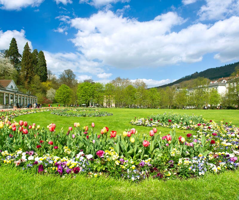 Beautiful Park Trees Over Blue Sky Stock Photo - Image of germany ...