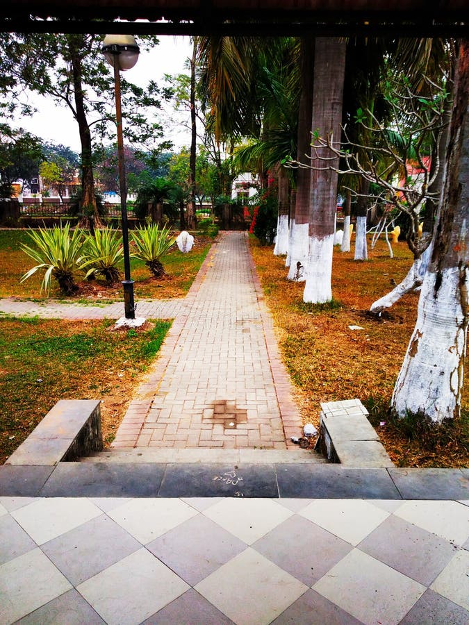 Beautiful Park View and Around Trees Stock Photo - Image of neture ...
