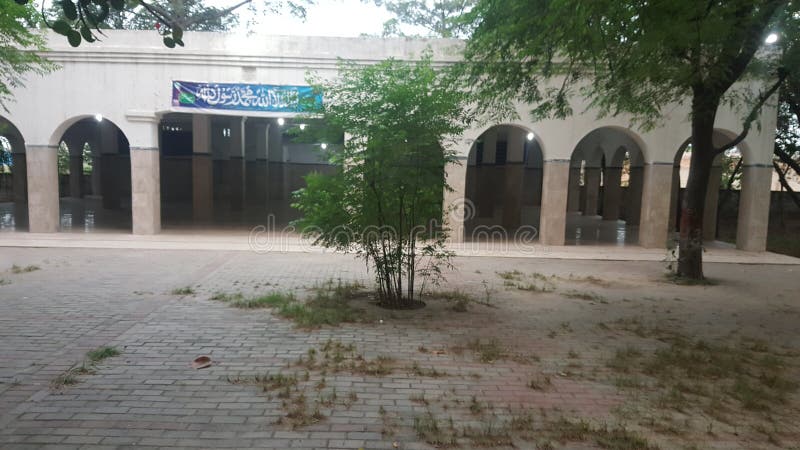 Beautiful Park View with Little Plant Editorial Photo - Image of ...