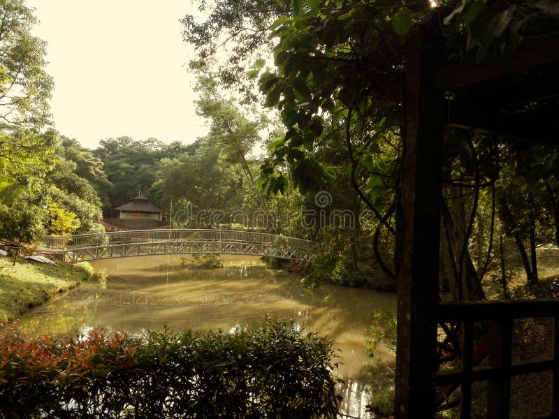 Beautiful park view_2 stock image. Image of moss, fall - 96304929