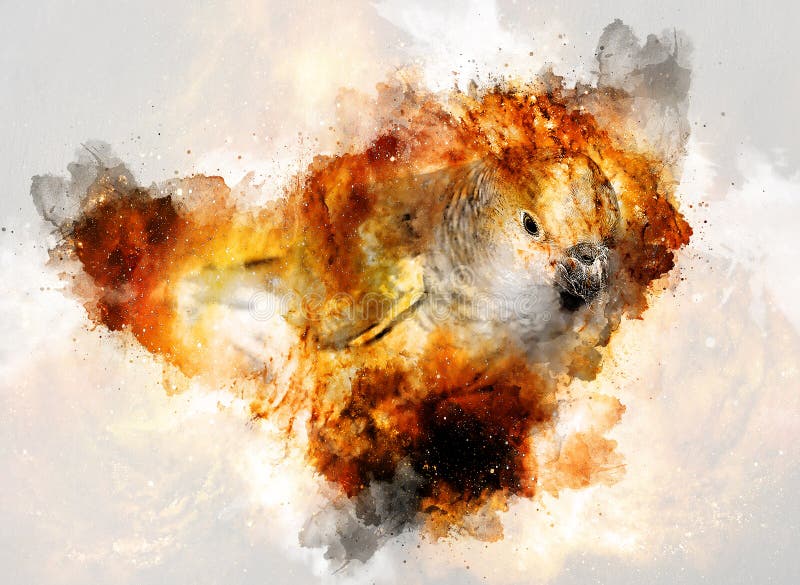 Beautiful Parrot in Cosmic Space. Computer Collage. Stock Illustration ...