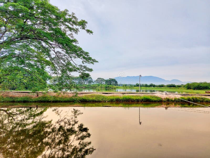 Beautiful Pastoral Scenery with Reflection View Stock Photo - Image of ...