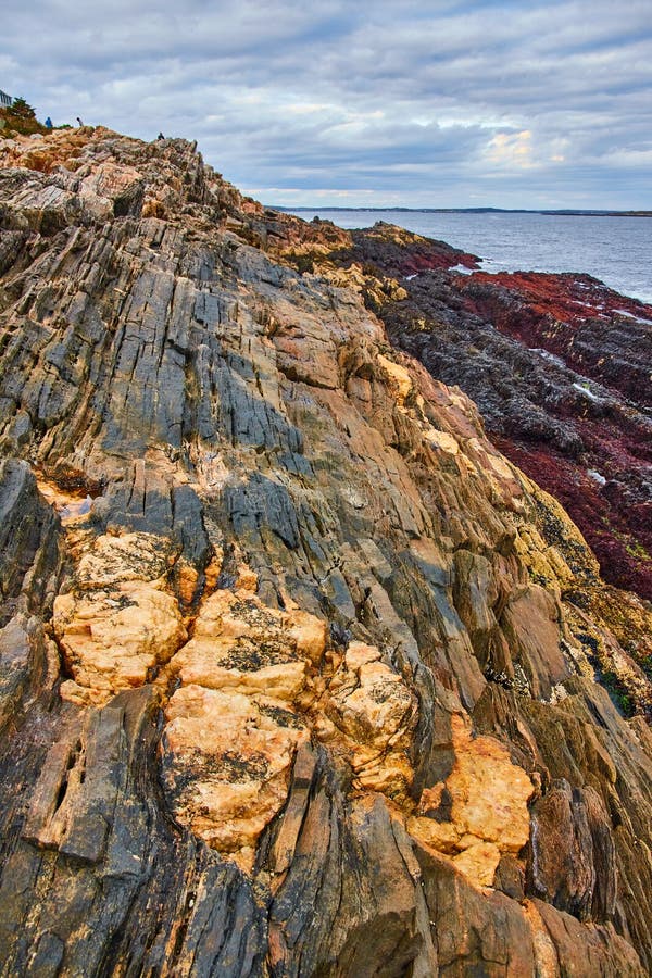Beautiful Patch of Maine Coast with Layers of Rocks and Mineral Veins ...