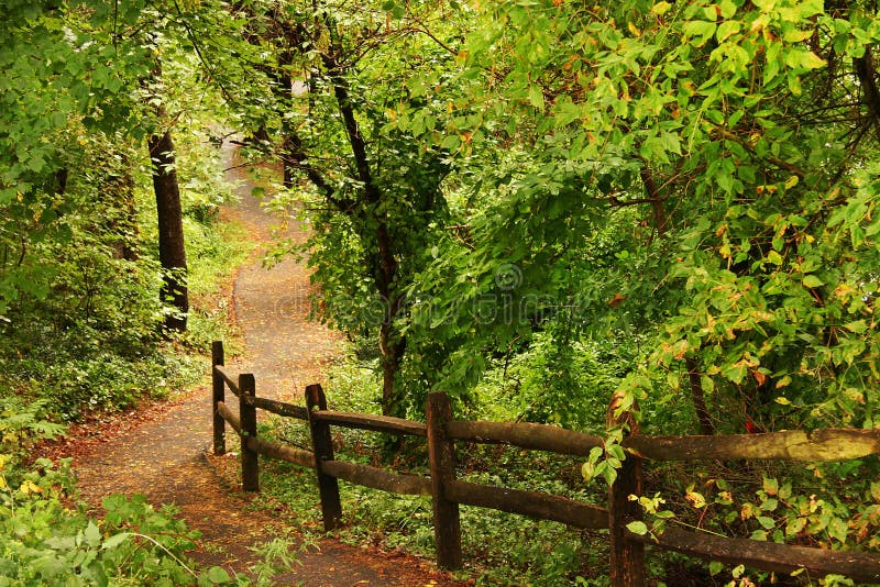 Beautiful path stock photo. Image of green, path, sidewalk - 11519378