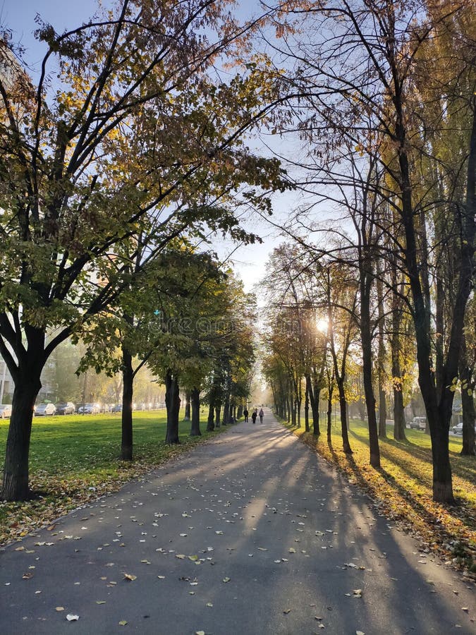 Beautiful Path on the Boulevard with the Setting Sun in Autumn Stock ...