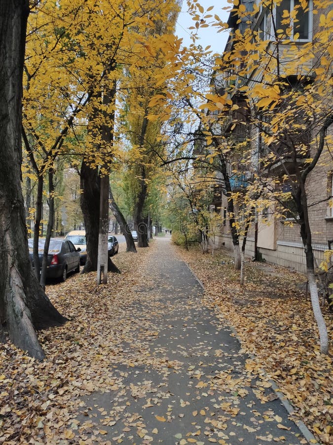 Beautiful Path on the Boulevard with the Setting Sun in Autumn Stock ...
