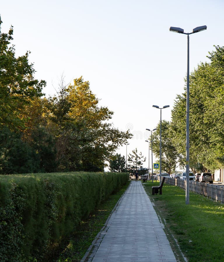 A Beautiful Path in the Center in the Village of Vityazevo in Summer ...