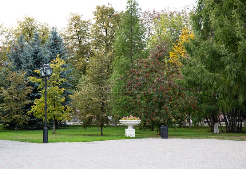 A Beautiful Path on the Central Square of the City of Tyumen in Autumn ...