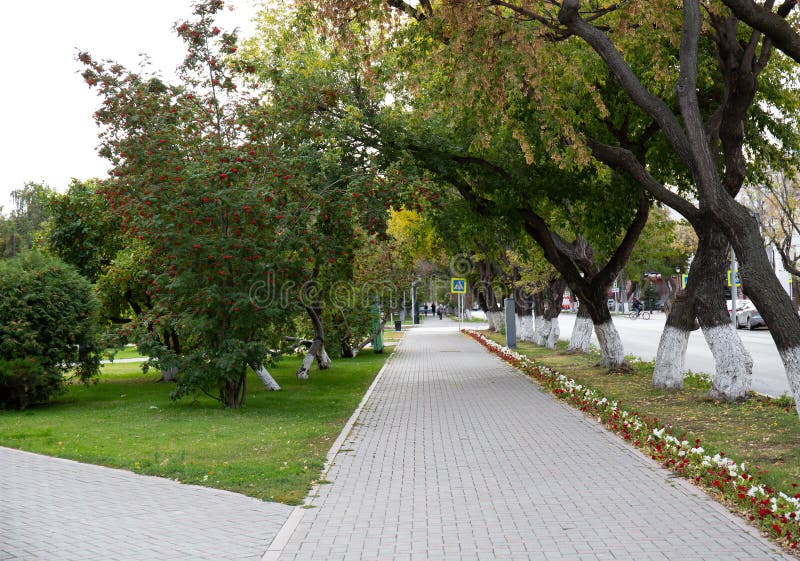 A Beautiful Path on the Central Square of the City of Tyumen in Autumn ...