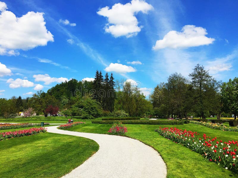 A Beautiful Path among the Flowers in the Spring Park, Tulips and Blue ...