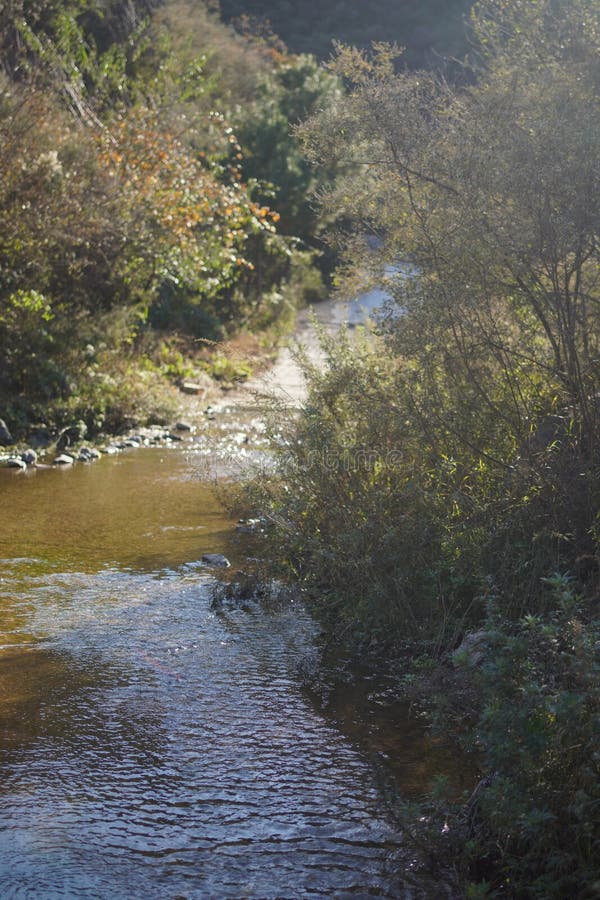 A Beautiful Path with Ponding after the Heavey Rain Stock Photo - Image ...
