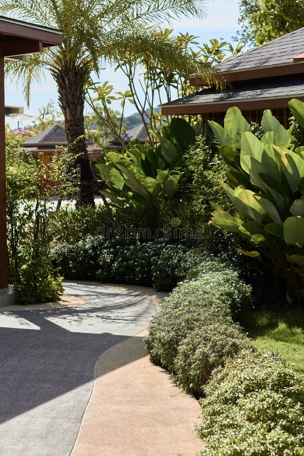 Beautiful Path on the Territory of a Tropical Resort Stock Image ...
