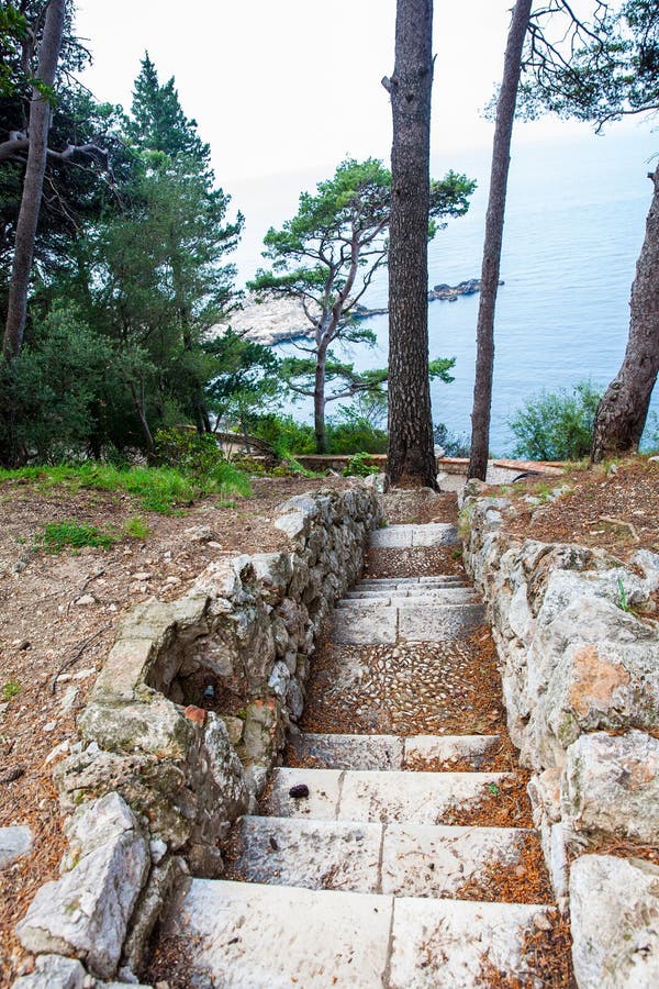 Beautiful Paths of the Gradac Park in Dubrovnik Stock Photo - Image of ...