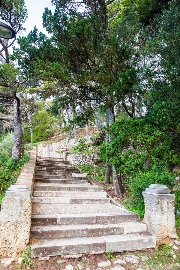 Beautiful Paths of the Gradac Park in Dubrovnik Stock Photo - Image of ...