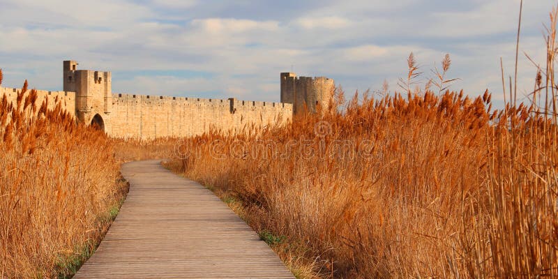 Beautiful Pathway Going To a Castle Surrounded by Beautiful Field Stock ...