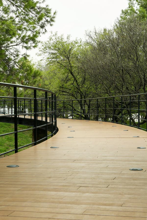 Beautiful Pathway with Metal Handrails in Park Near Trees Stock Photo ...