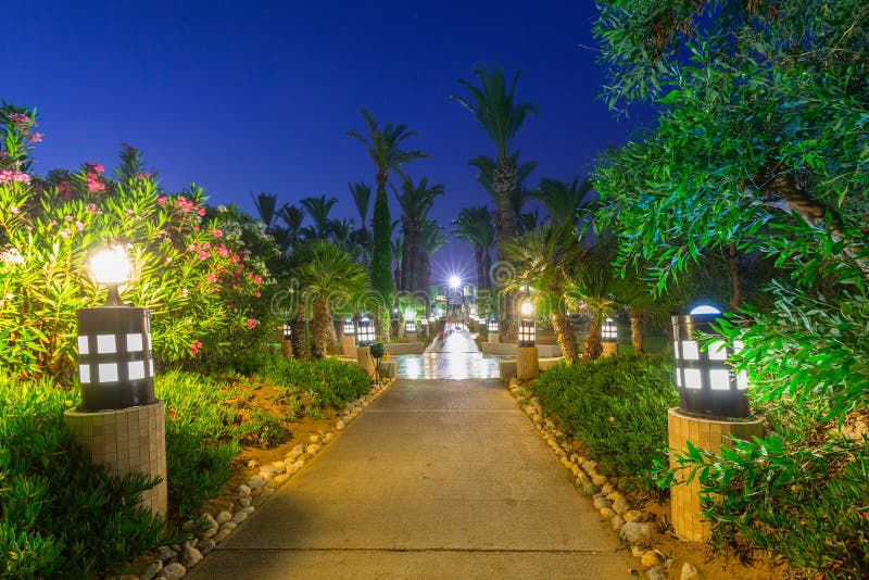 Beautiful Pathway with Palm Trees at the Beach of Turkey Stock Image ...