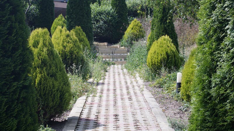 Beautiful Pathway in a Park Surrounded by the Greenery Stock Photo ...
