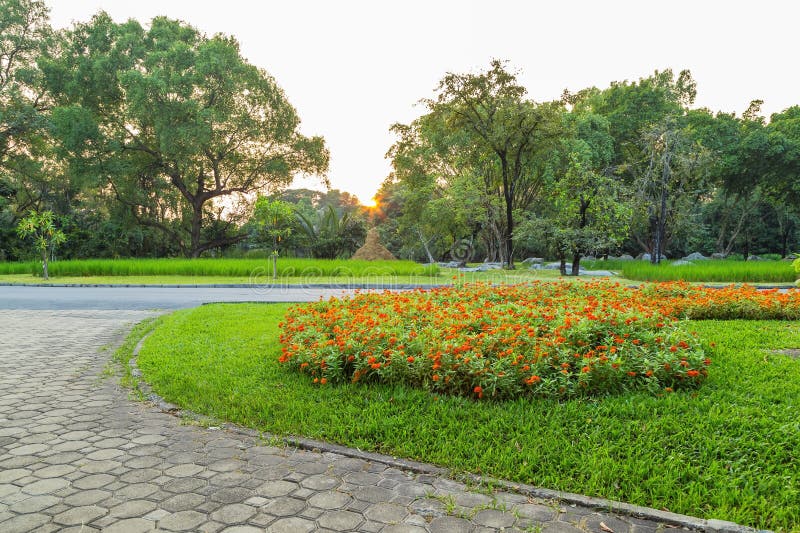 Beautiful Pathway in Public Park Stock Image - Image of sidewalk, green ...