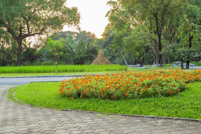 Beautiful Pathway in Public Park Stock Photo - Image of nature, side ...