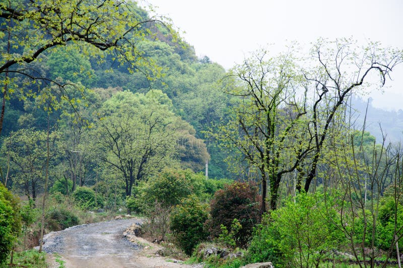 The Beautiful Pathway Scenery Stock Photo - Image of ghat, sidewalk ...