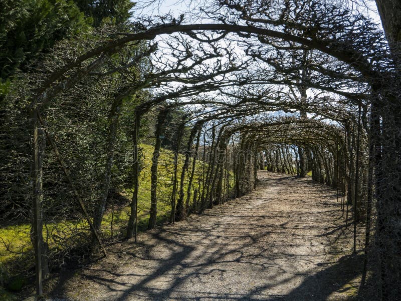 Beautiful Pathway Surrounded by a Garden for Pleasant Afternoon Walks ...