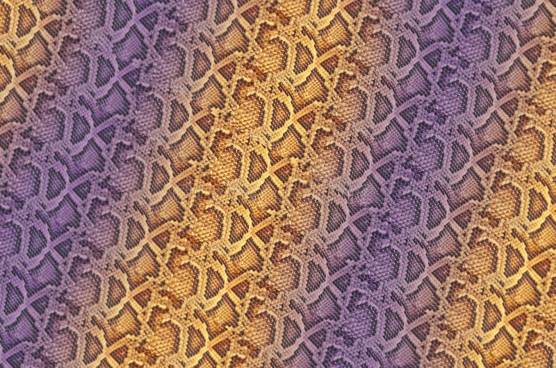 Beautiful Pattern on Boa Skin Stock Photo - Image of style, snakeskin ...