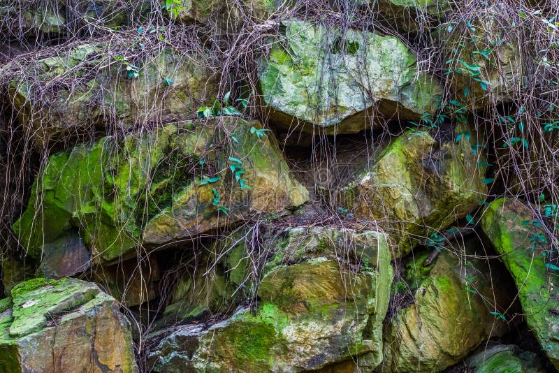 Beautiful Pattern of Large Rocks Covered in Green Moss and Plants ...